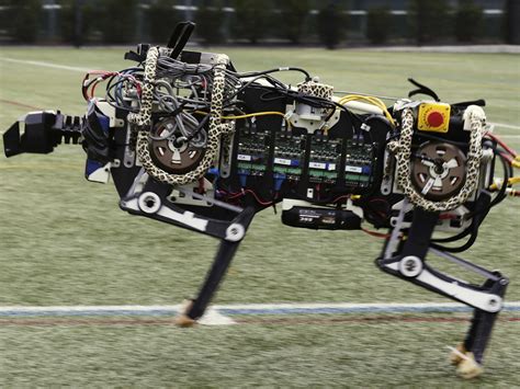 mit s cheetah robot can run 30 mph business insider