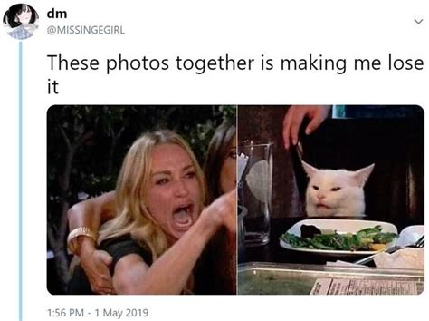 La Storia Di Woman Yelling At A Cat Il Meme Con La Donna Che Urla Al