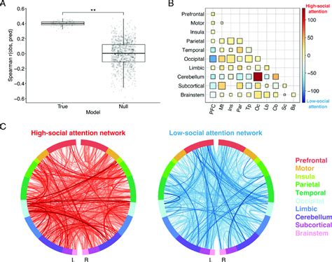 Connectome Based Predictive Model Trained To Predict D ′ From