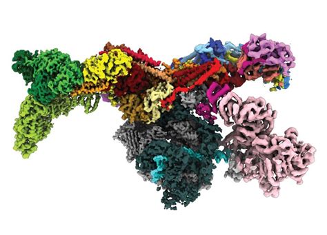 Deepminds Ai Predicts Structures For A Vast Trove Of Proteins