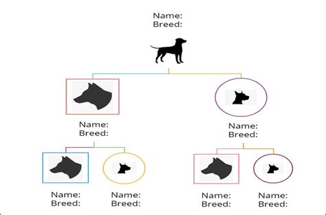 Pedigree Chart Guide Definition Symbols And Examples