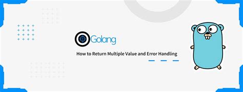 golang how to return multiple value and error handling manoj s tech blog