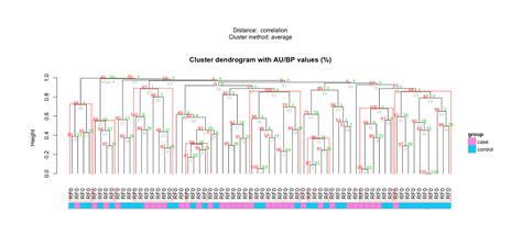 r interpretation of hierarchical clustering with bootstrapping