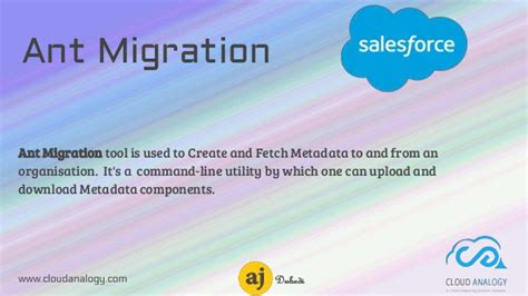 salesforce ant migration