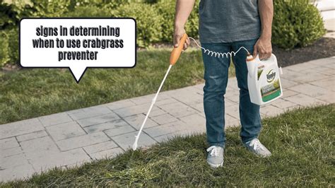 When To Apply Crabgrass Preventer A Lawn Care Guide