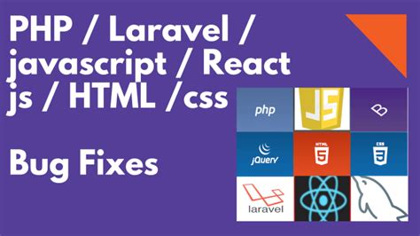 fix php laravel javascript react js css bugs by chirannad
