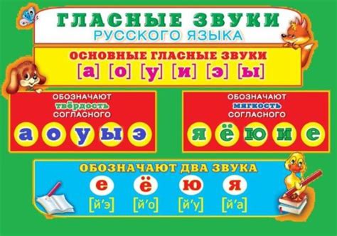 Сколько гласных и согласных букв и звуков в русском языке