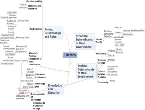 Mind Map Of Themes Sub Themes And Sub Sub Themes Derived From Analysis