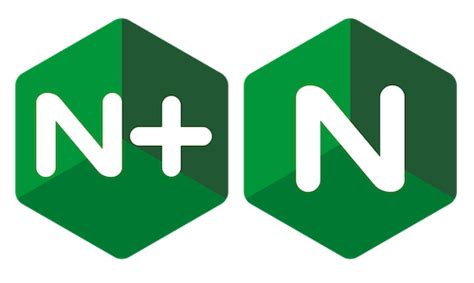 setting up nginx nginx