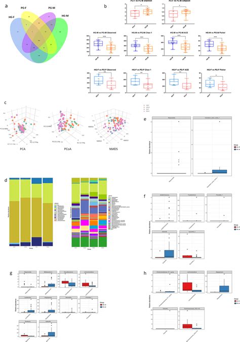 Gut Microbiome Diversity And Composition Analysis Among Hg F Hg M