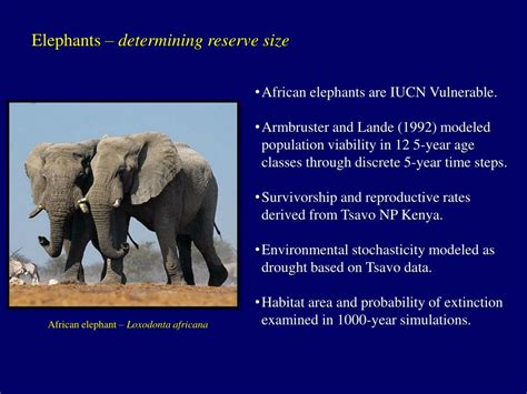 Ppt Minimum Viable Population Mvp Powerpoint Presentation Free