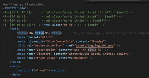including scripts twice when used with htmlwebpackplugin