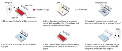 the elements of group 16 the chalcogens