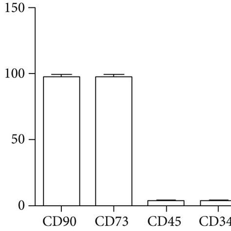 Identification Of Bmscs A Flow Cytometry Was Utilized To Assess The