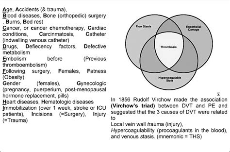 Major Risk Factors For Development Of Dvt Or Pe Abcdefghi [3