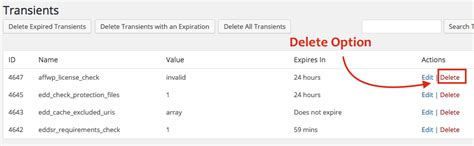 how to auto delete wordpress transient variables how to delete all