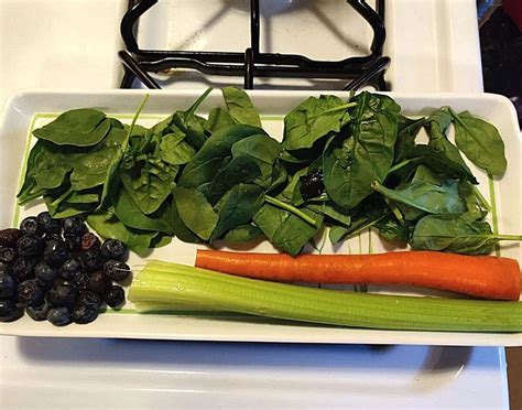 Homemade Cat Food 3 Diy Recipes That Are Healthy For Cats Floppycats™