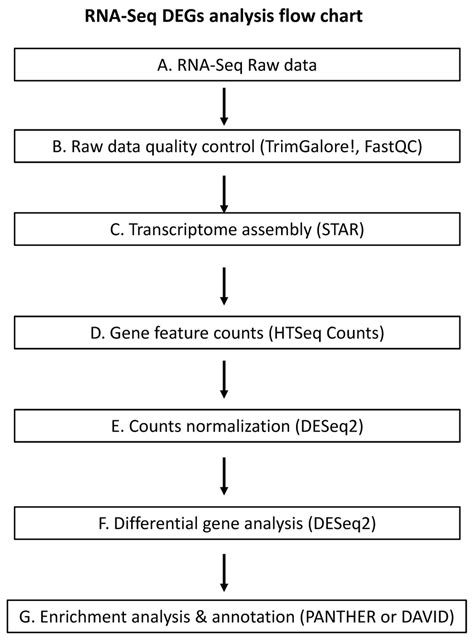 Typical Pipeline For Rna Seq Data Analysis For Differential Gene