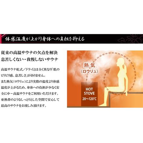 中〜高温・湿式＆湿式2way 熱気フィンランドサウナ ロウリュ檜 ごろ寝1〜3人用 ドライ＆湿度お好み調整可 安心の責任施工 Loyly