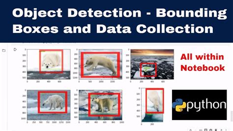 object detection data collection and bounding boxes using python