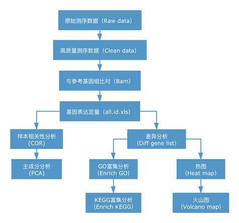 Mrna 转录组测序及分析报告 生物信息学分析 服务目录 广州赛诚生物科技有限公司 服务于您的核心利益！