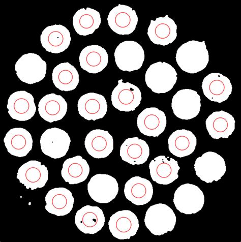 opencv simpleblobdetector not recognizing the more