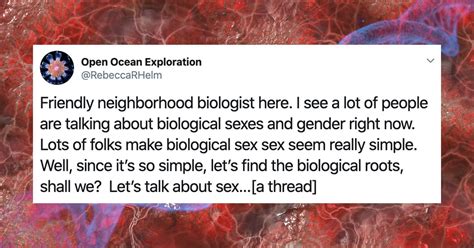biology professor breaks down why defining sex and gender is actually