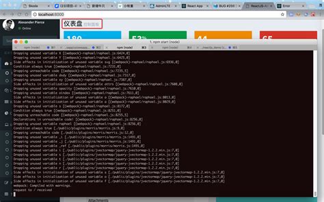 【已解决】reactjs adminlte中如何调试和哪部分代码是首页的源码 在路上
