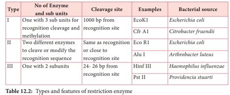 Restriction Enzymes Microbial Genetics
