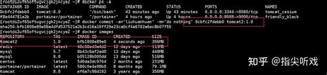 docker最新超详细版教程通俗易懂 基础版 知乎
