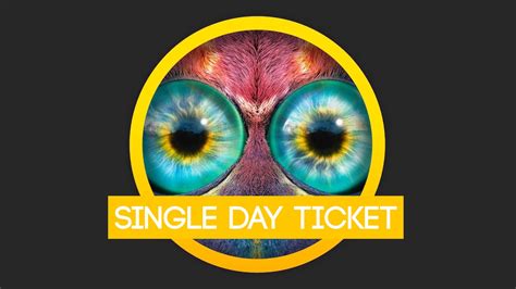 blender conference 2016 one day blender store