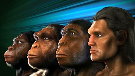 Types Of Humans Species