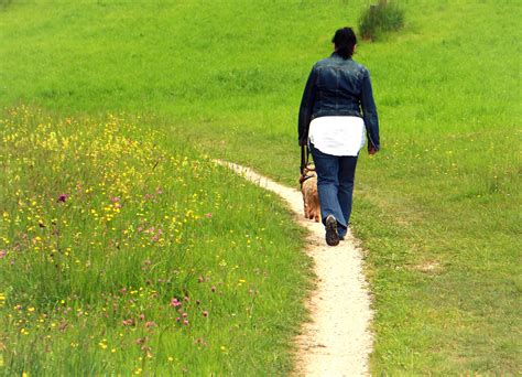 무료 이미지 잔디 보행 사람 여자 꼬리 들 목초지 꽃 개 산책 녹색 인간의 스포츠 떨어져 농촌 지역