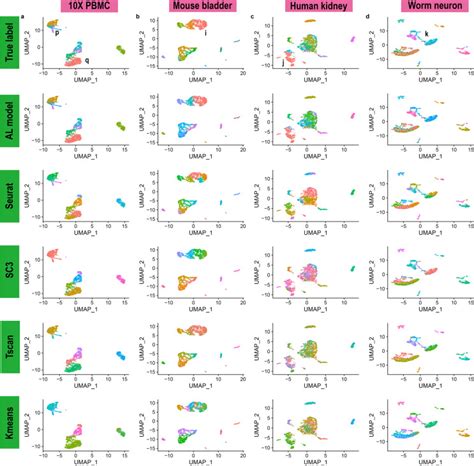 An Active Learning Approach For Clustering Single Cell Rna Seq Data