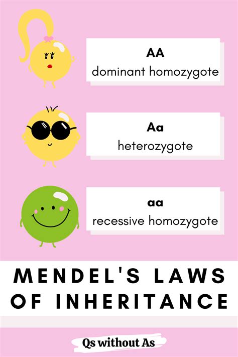 Mendels Laws Of Inheritance Biology Notes Biology Lessons Biology