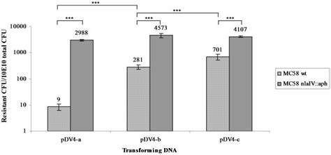 The Y Axis Shows The Number Of Resistant Erythromycin Cfu Total 1010