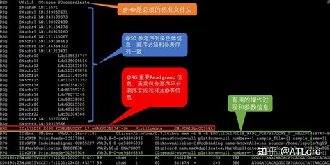 数据格式（六）——sam bam 知乎