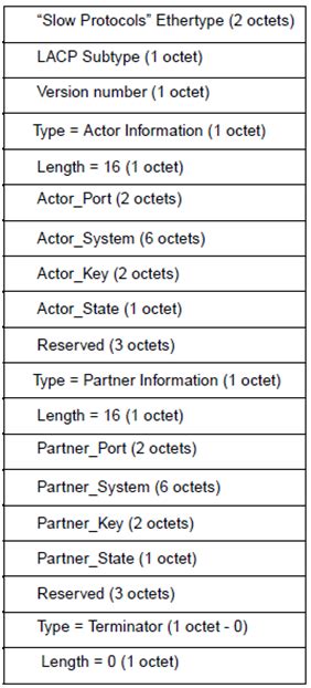 lacp protocol frame format