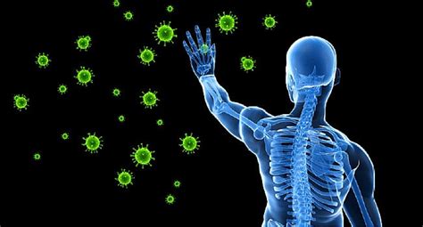 How To Naturally Increase Your Immune System Amazing Life