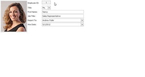 customization form winforms controls devexpress help