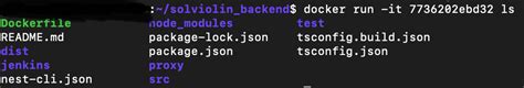 [solved] nest js docker cannot find module dist main solveforum