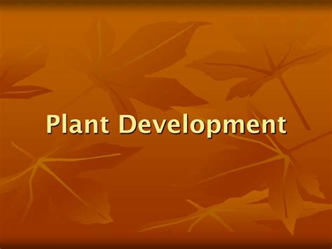 Ppt Early Development Powerpoint Presentation Free Download Id 371787