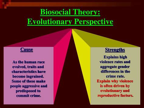 Ppt Chapter 5 Trait Theory Powerpoint Presentation Free Download