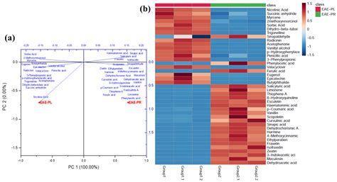 Antioxidants Free Full Text Comparative Analysis Of The Antioxidant