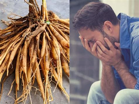 Ayurveda Expert Suggest Ayurvedic Herbs For Hormonal Imbalance To