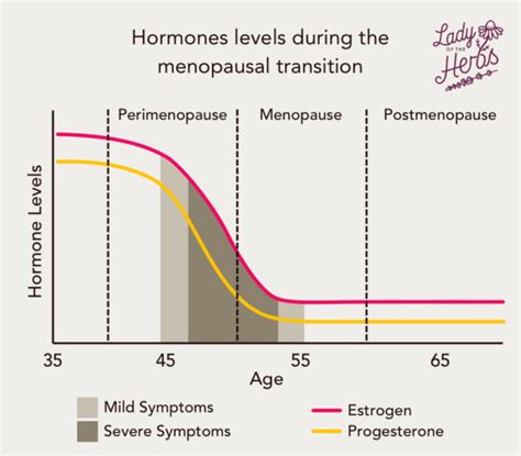 Menopause What Is It And How To Treat It Holistically Lady Of The