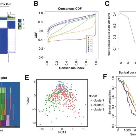 Identification Of The Molecular Subtypes Of The Oc Patients Using The