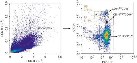 The Gating Strategy In Flow Cytometry A Cd14dimcd16⁺ Monocyte