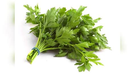 10 گیاه طبیعی برای تقویت حافظه، تمرکز و افزایش قدرت و عملکرد مغز