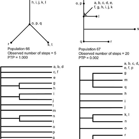 pdf cryptic sex within male‐sterile polyploid populations of the